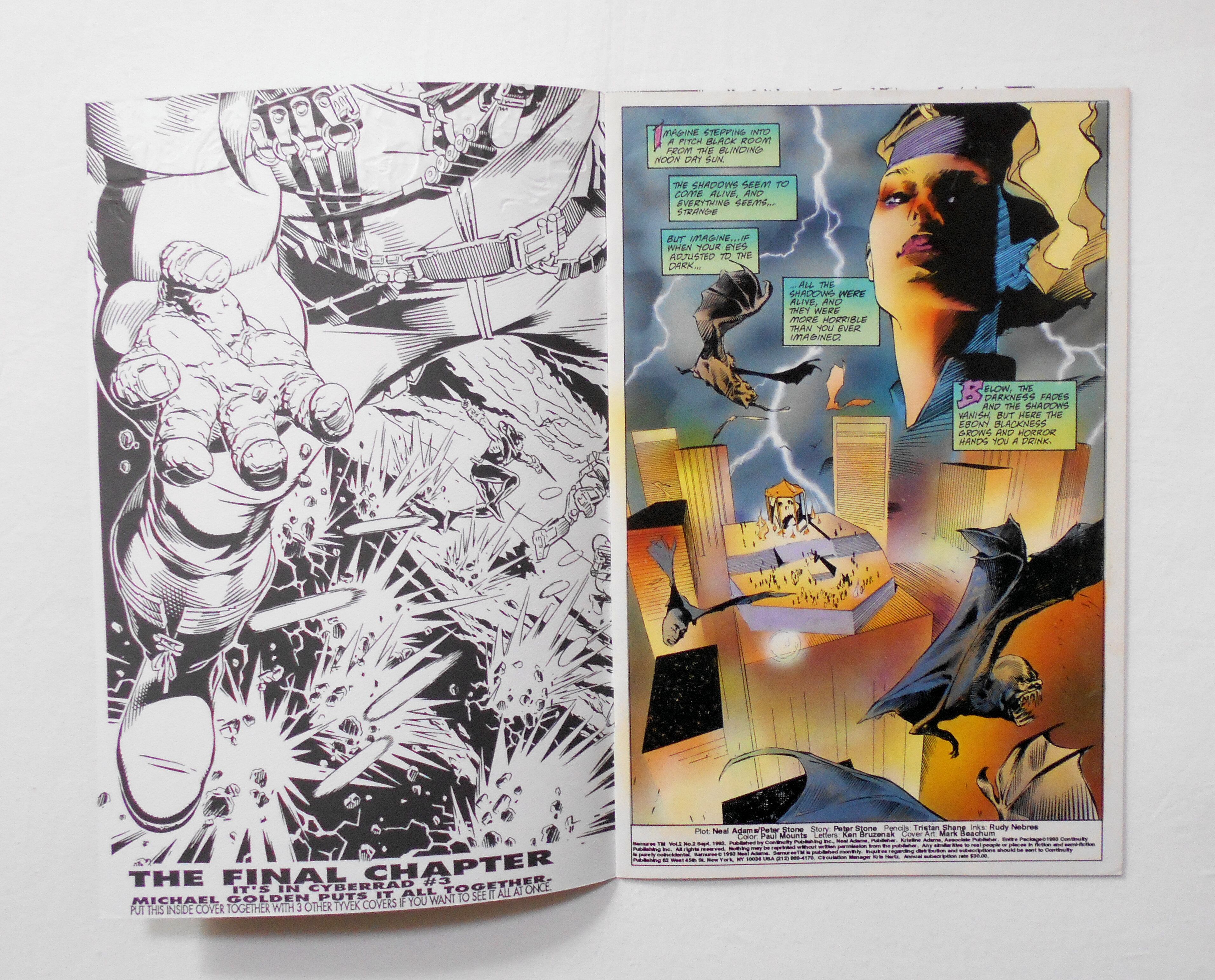 【SAMUREE: MISTRESS OF MARTIAL ARTS】 VOL.2 NO.2 CONTINUITY COMICS PLOT ...