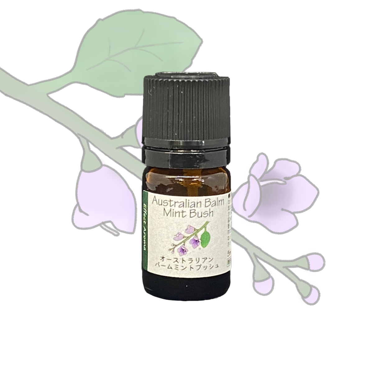 オーストラリアンバームミントブッシュ精油｜Australian Balm Mint Bush Essential Oil | pln