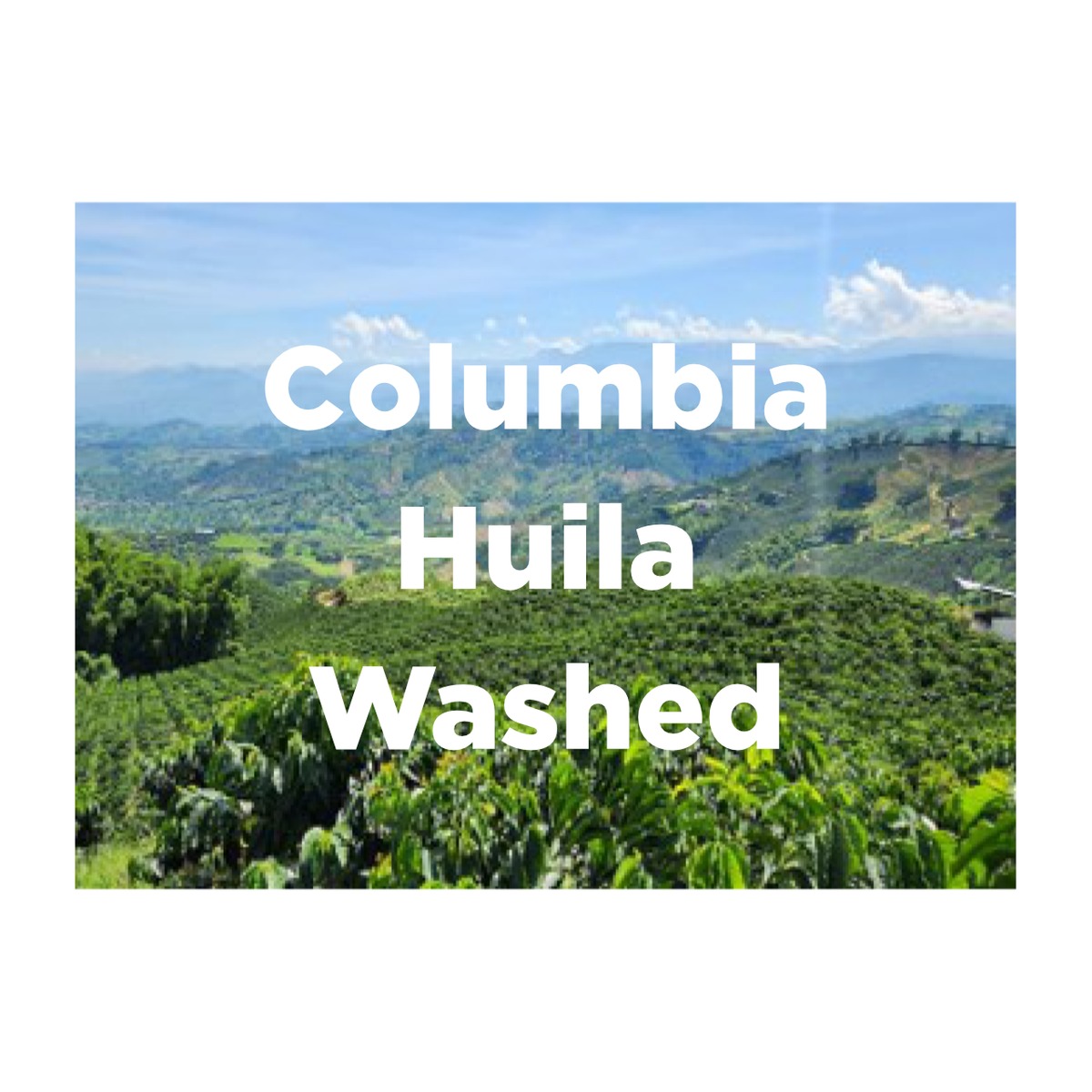 Columbia Huila 300g | YURICOFFEE