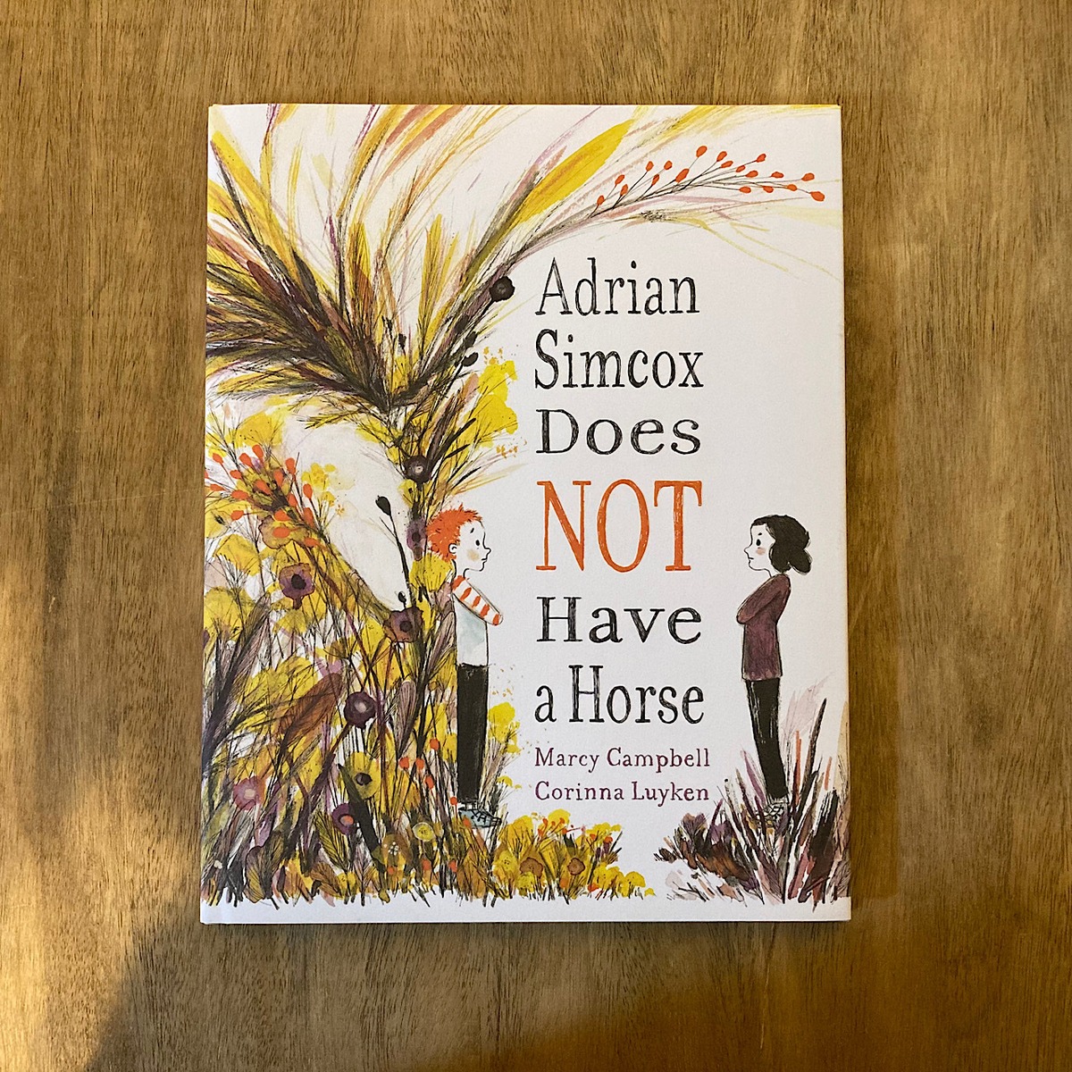 Adrian Simcox Does Not Have a Horse | 素敵な洋書の絵本のお店 Read Leaf Books