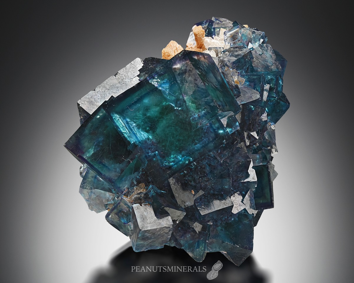 フローライト / クォーツ【Fluorite with Quartz】ナミビア産 | PEANUTS MINERALS