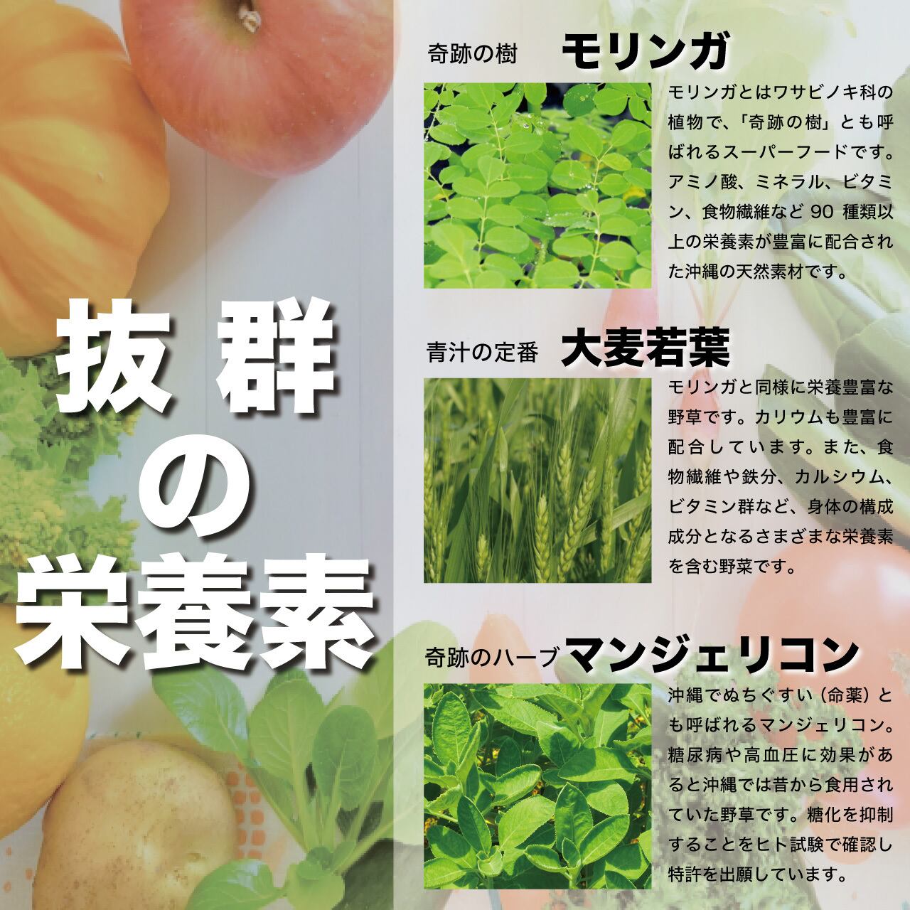 モリンガ青汁『RESCUE』(3.5g×30本：105g：1ヶ月分） | HonZen Nouen