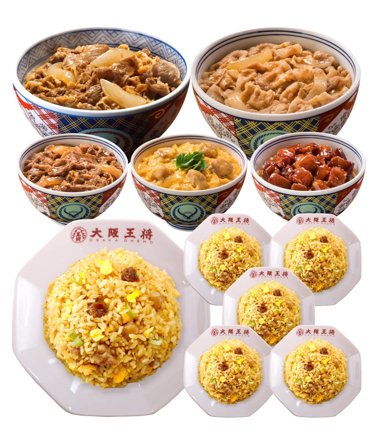 吉野家×大阪王将 丼の具&チャーハン詰め合わせセット (合計10食) どんぶり 冷凍食品 牛丼の具 親子丼 豚丼 牛焼肉丼 焼鶏丼 仕送り 惣菜 炒飯 中華 おつまみ レトルト | kki foods