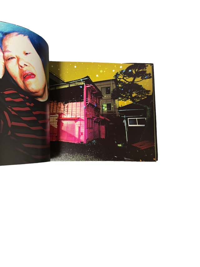 【CANARY 志賀理江子】カナリア Lieko Shiga 写真集 初版 | artbookano