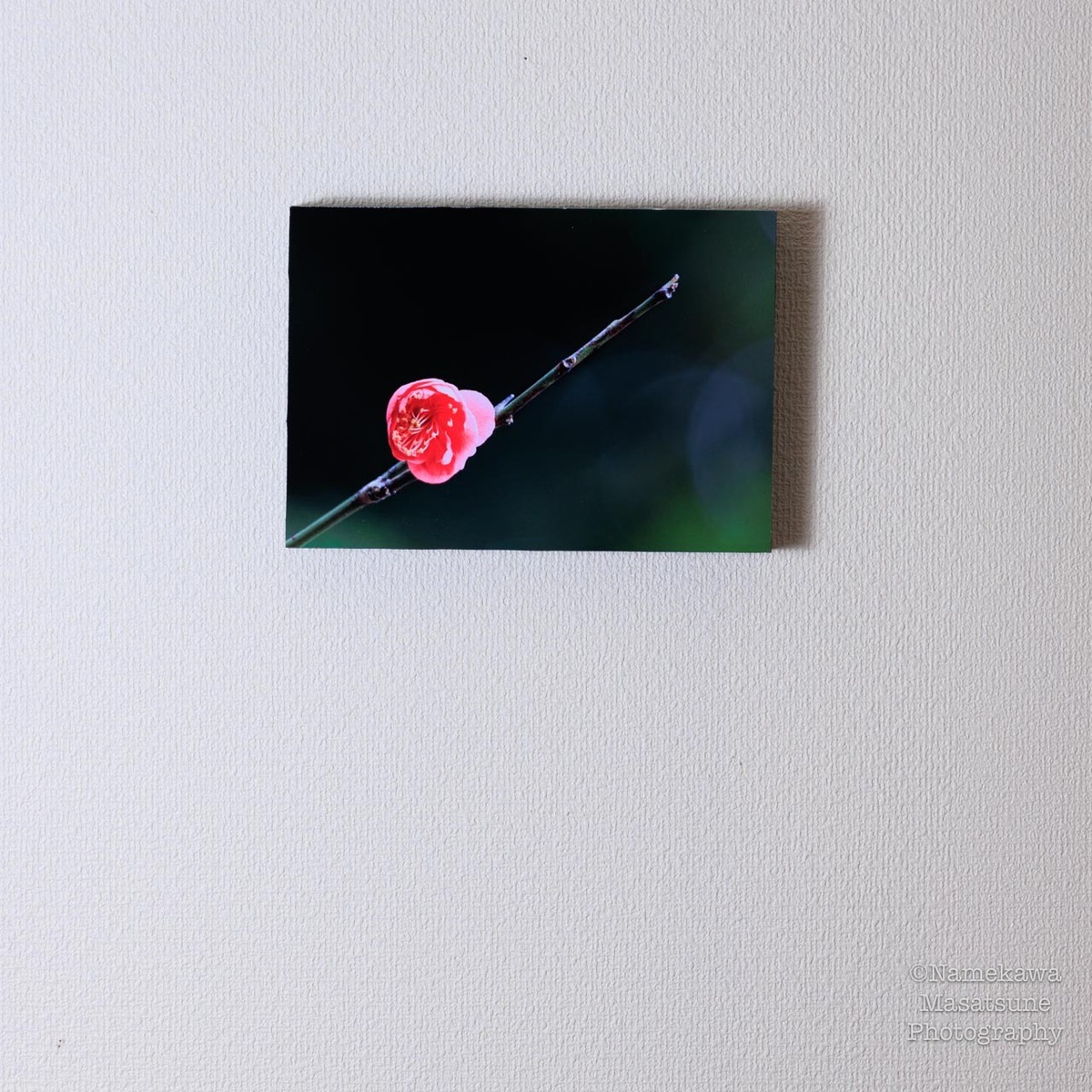 待ち | nameco foto