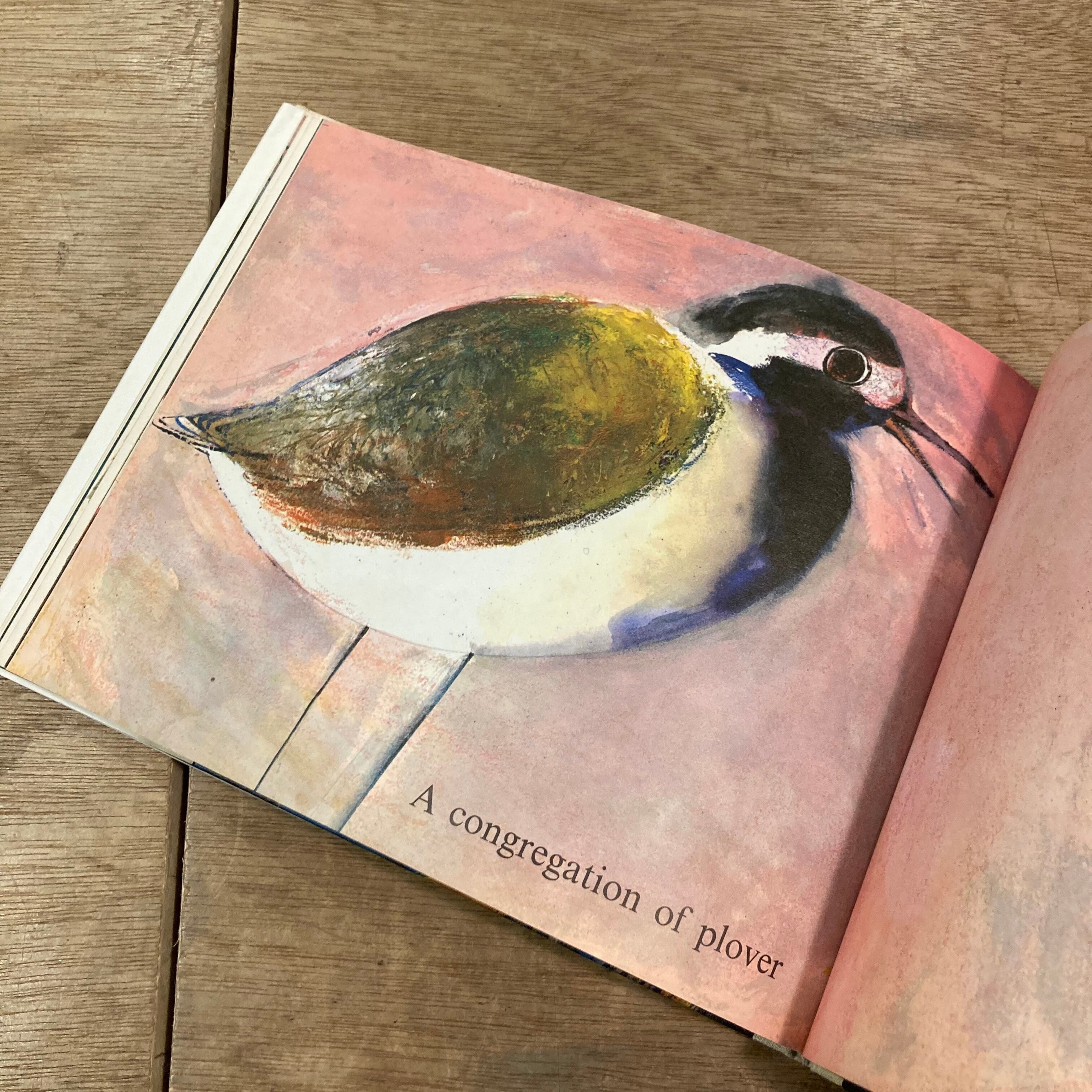 Birds / Brian Wildsmith | 百年