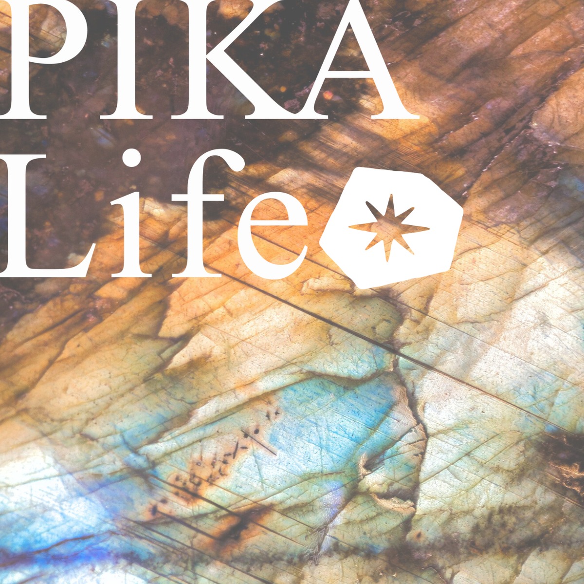 ⭔ お客様専用ページ ⭔ hidamarinousagi様 | PIKA Life天然石･龍亀セレクトショップ