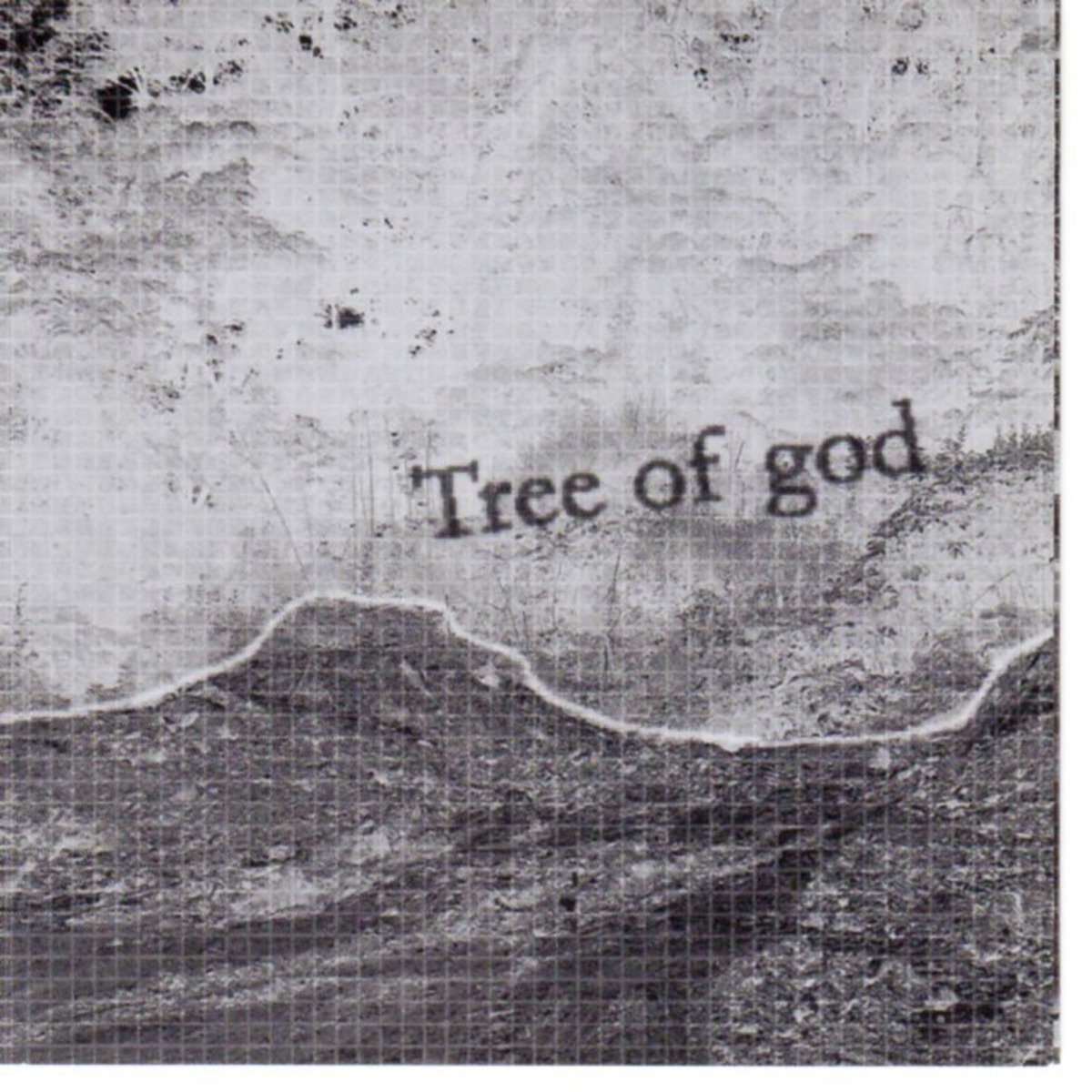 【CD】LAMAZE / Tree Of God | nonohaus webshop