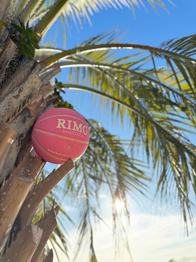 RIMGバスケットボール7号球 | Rimg