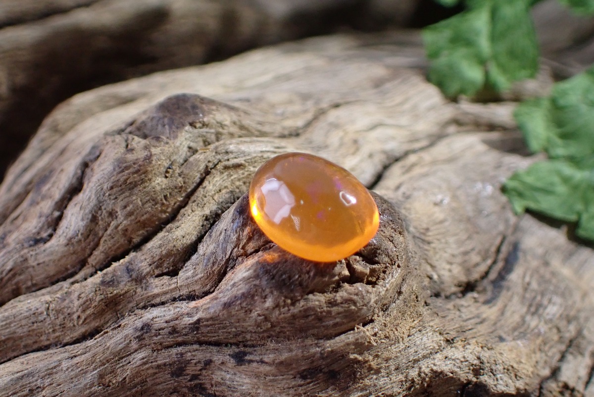 オレンジオパール 0.63ct [C4‐951] | differencee(ディファレンシー)