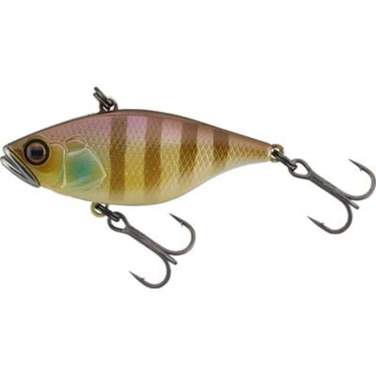 ジャッカル TN38 SILENT 野池ギル | ebisu3