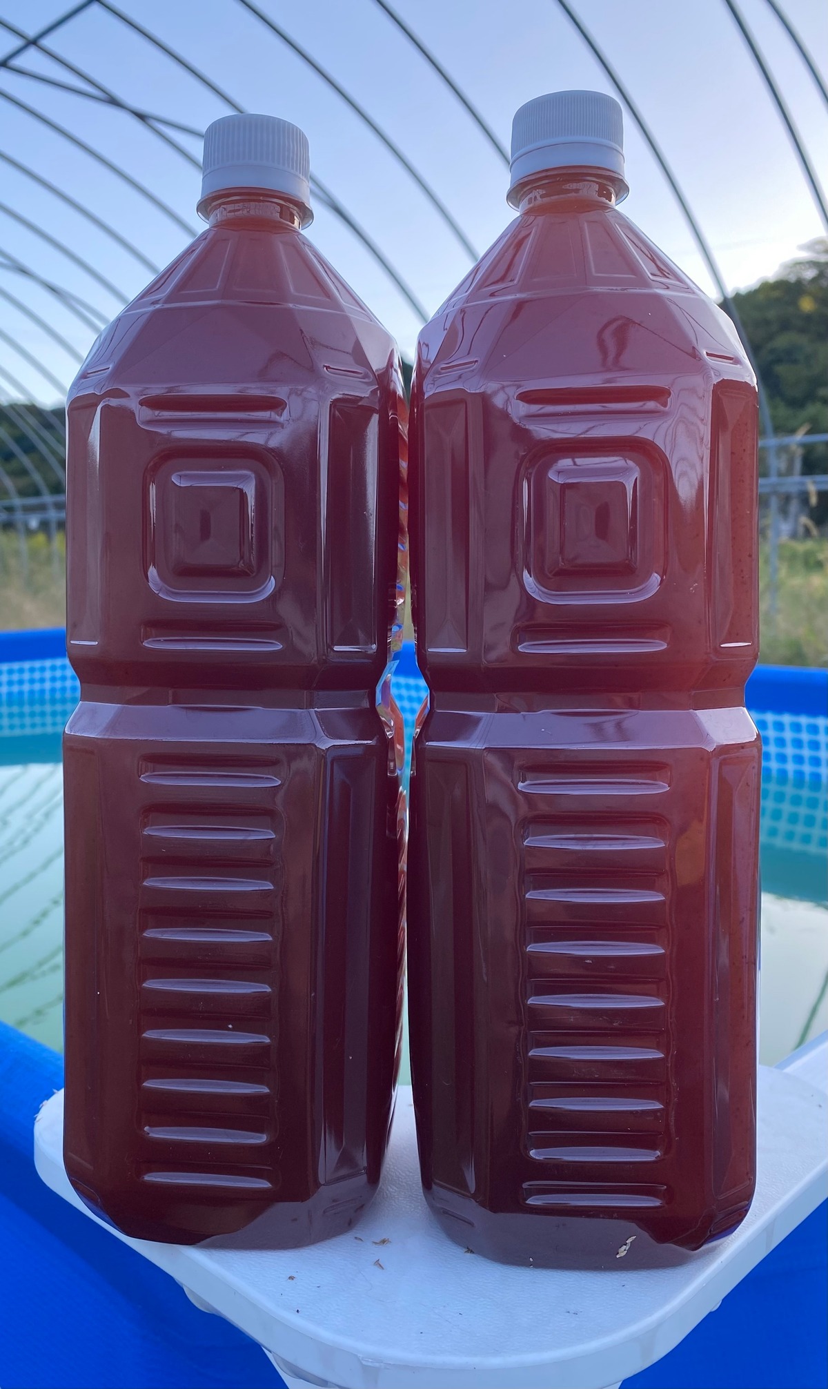 PSB 2ℓ 針子に最適 | シシめだか