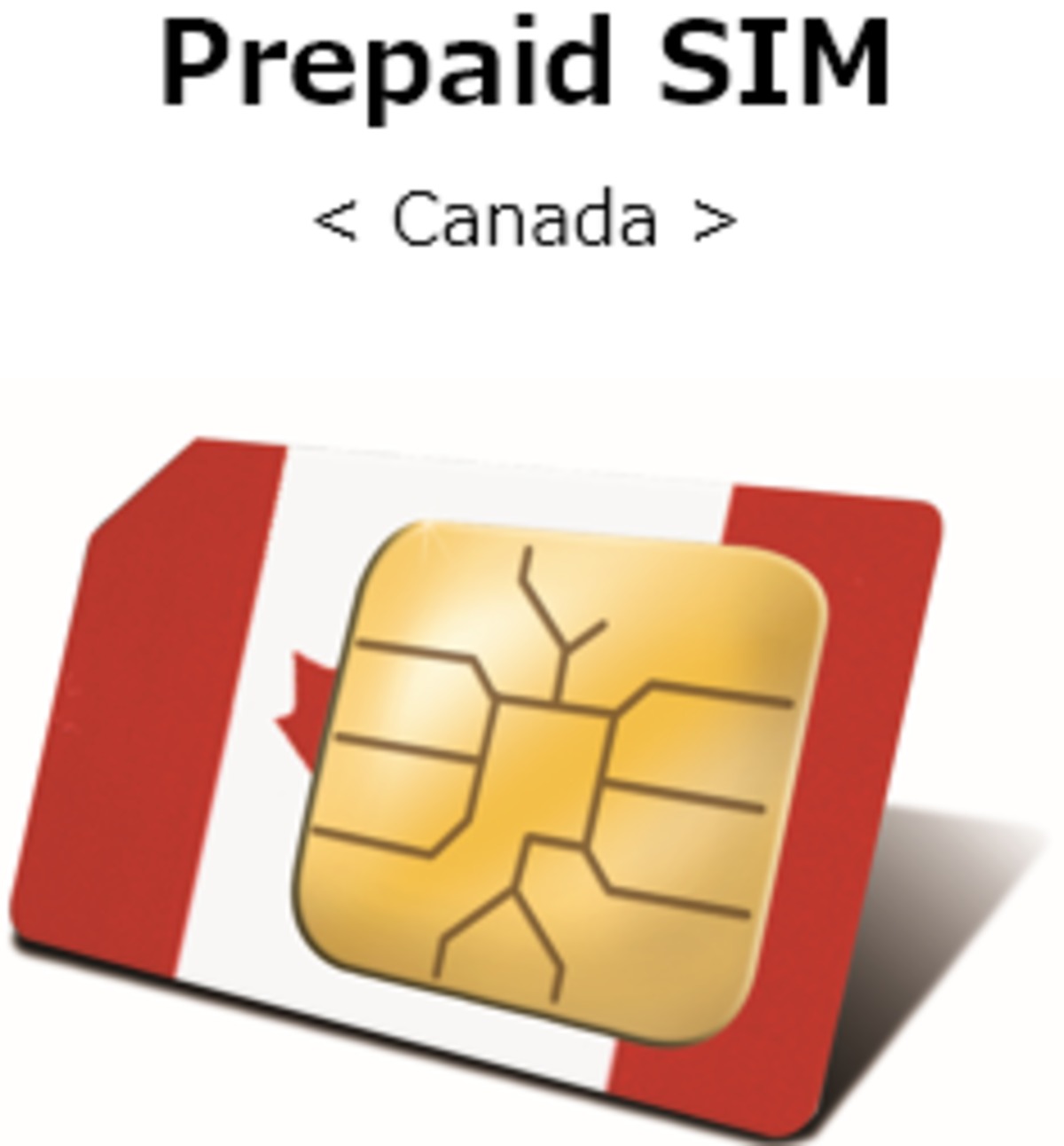 20GB/30days | PicCell SIM