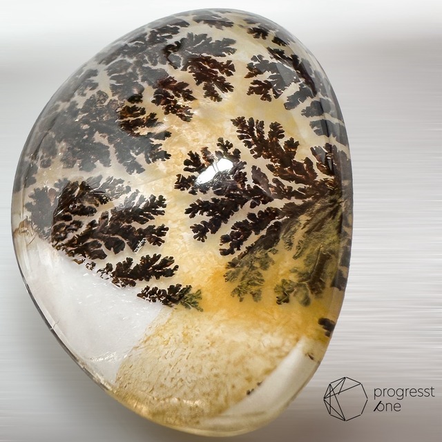 デンドライトインクォーツ10.39ct | progresstone