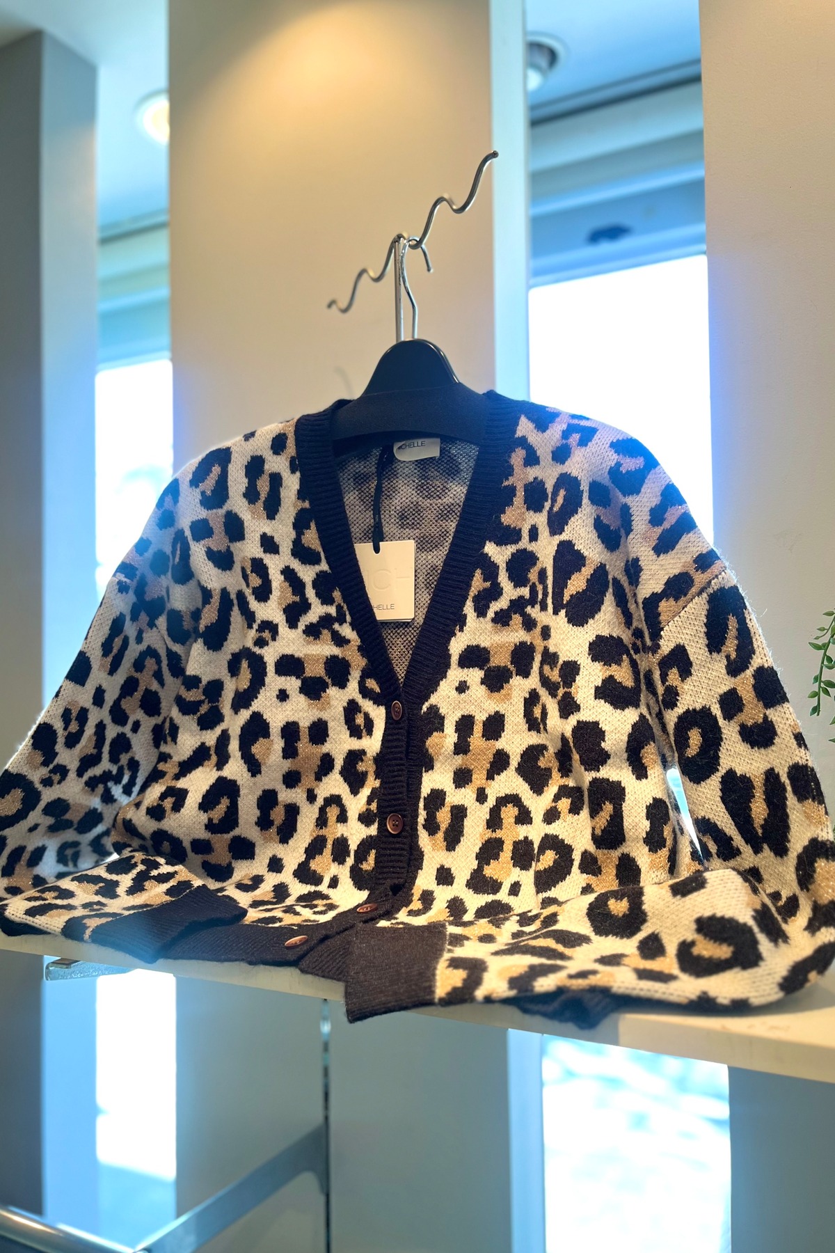 Leopard lame cardigans | COLORS PLUS