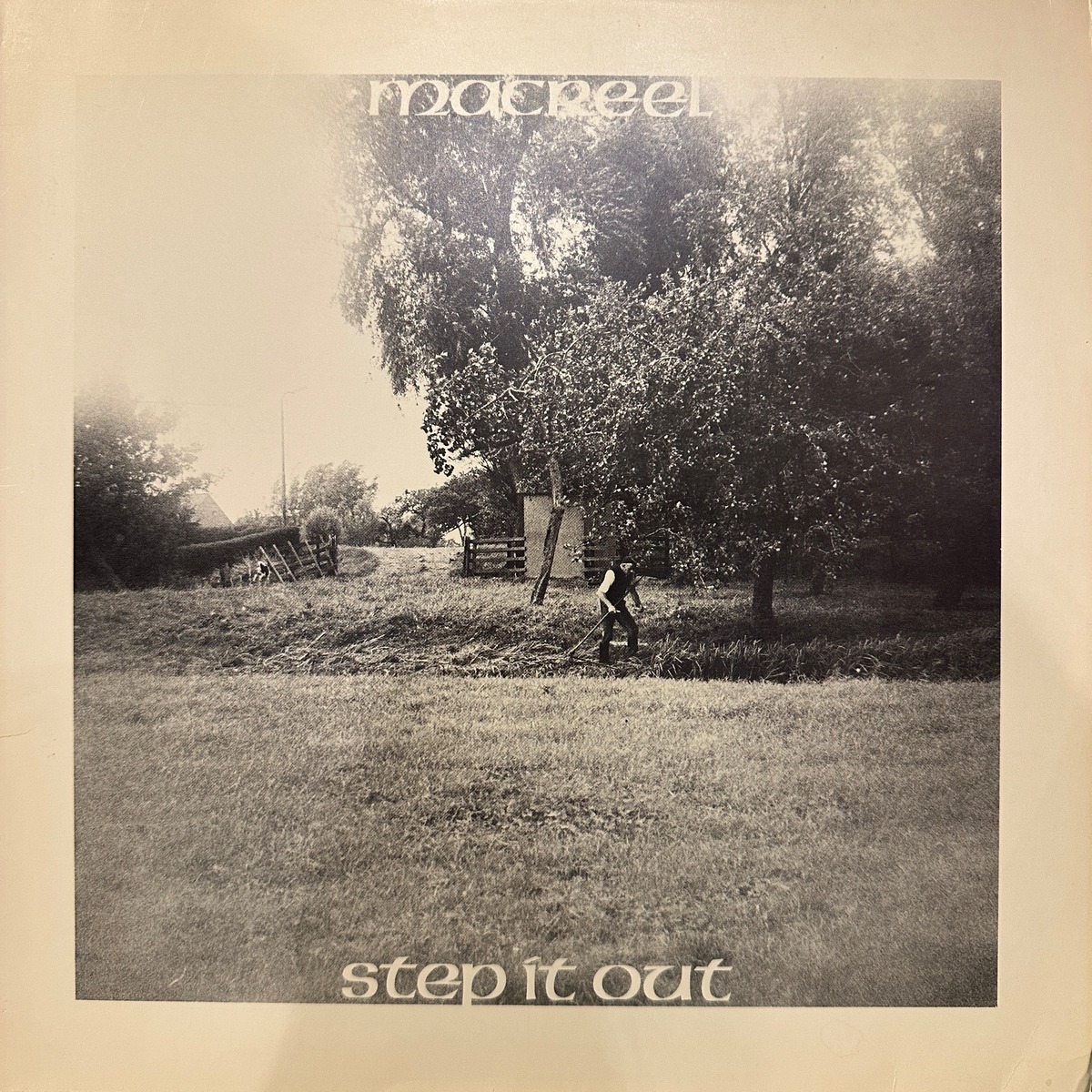 【LP】MACREEL/Step It Out | SORC 中古アナログレコード専門店