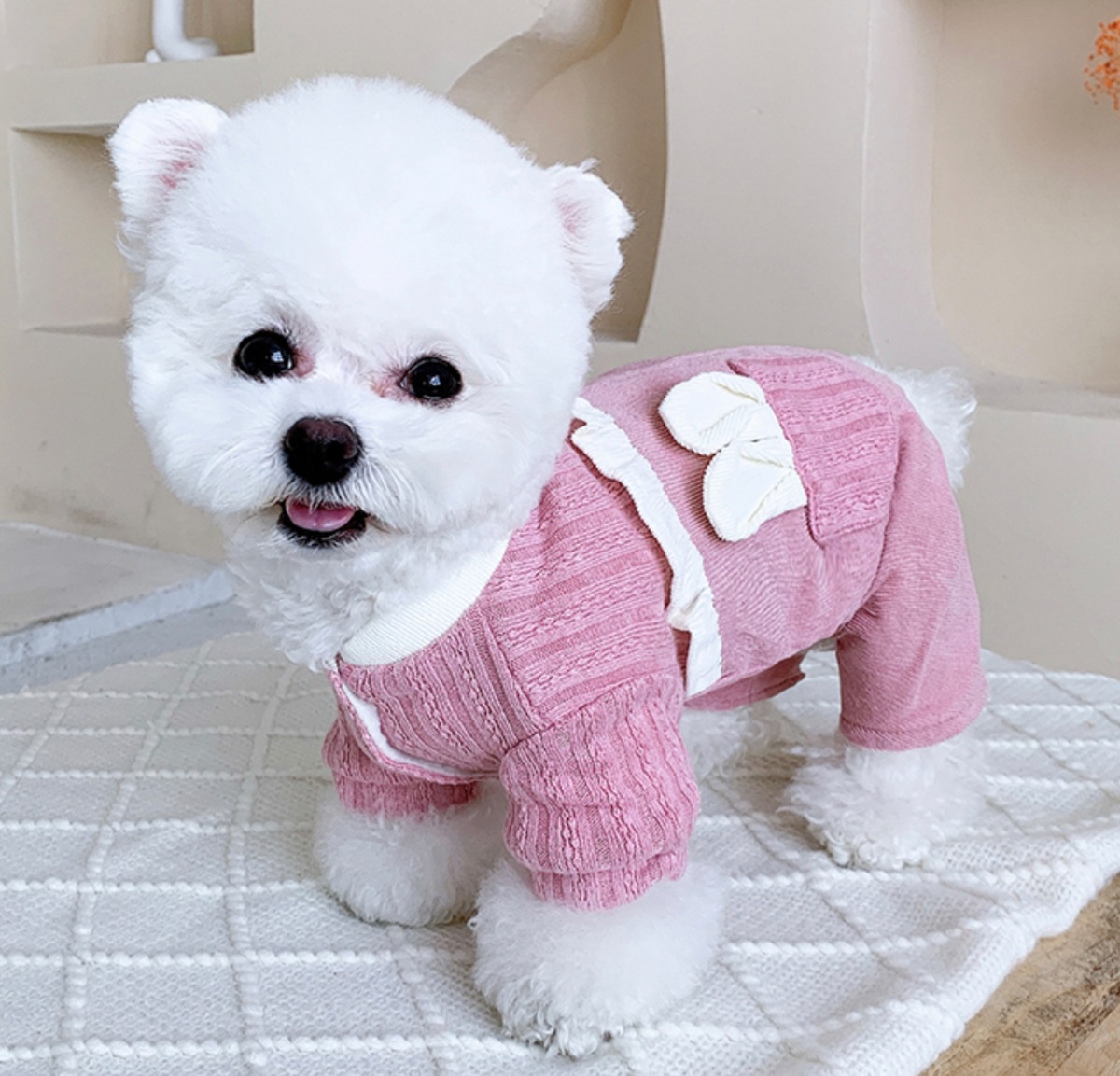 rabbit ear pocket rompers | milian ‖ペット用品