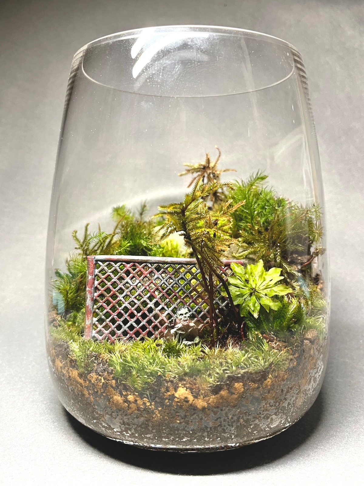 【Terrarium Of The Dead】第一弾 テラリウムオブザデッドシリーズ第一弾 | 草原farm