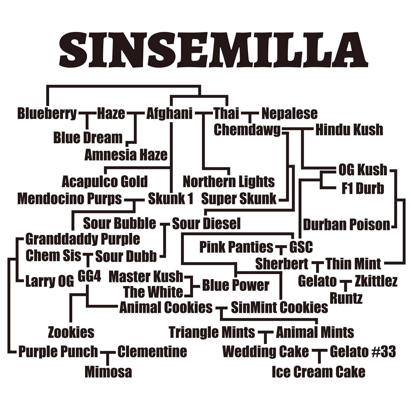 SINSEMILLA | HACAKNIFE