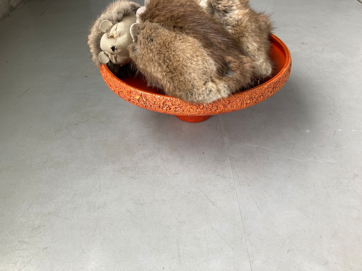 HEDGHOG 1605 | circo/display