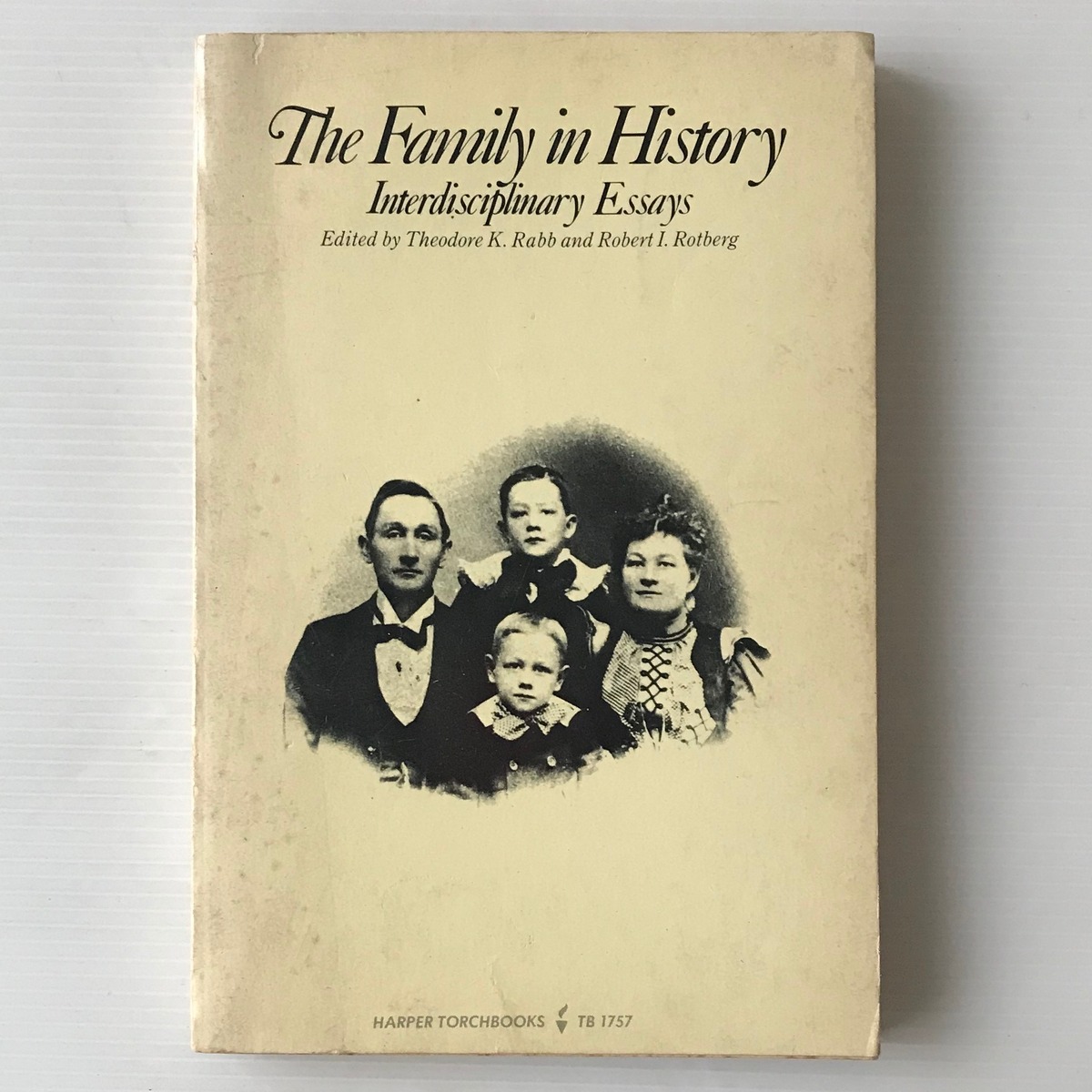 The Family in history : interdisciplinary essays ＜Harper torchbooks ...