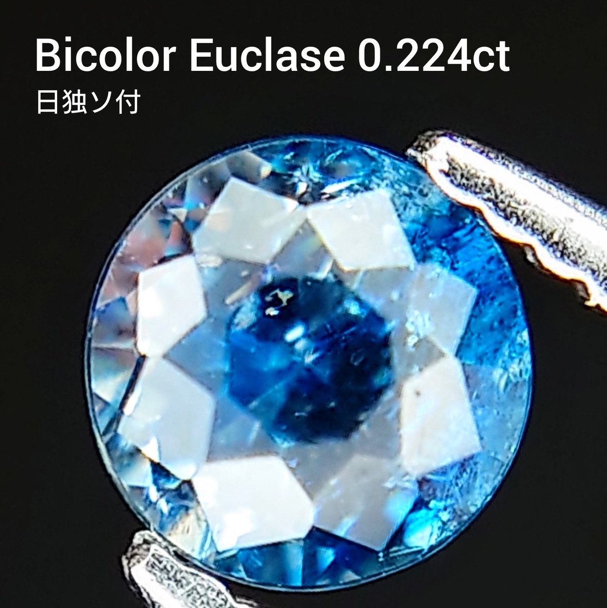 極希少 Bicolor Euclase 0.224ct 日独ソ付 ルース☆ | wisteria777
