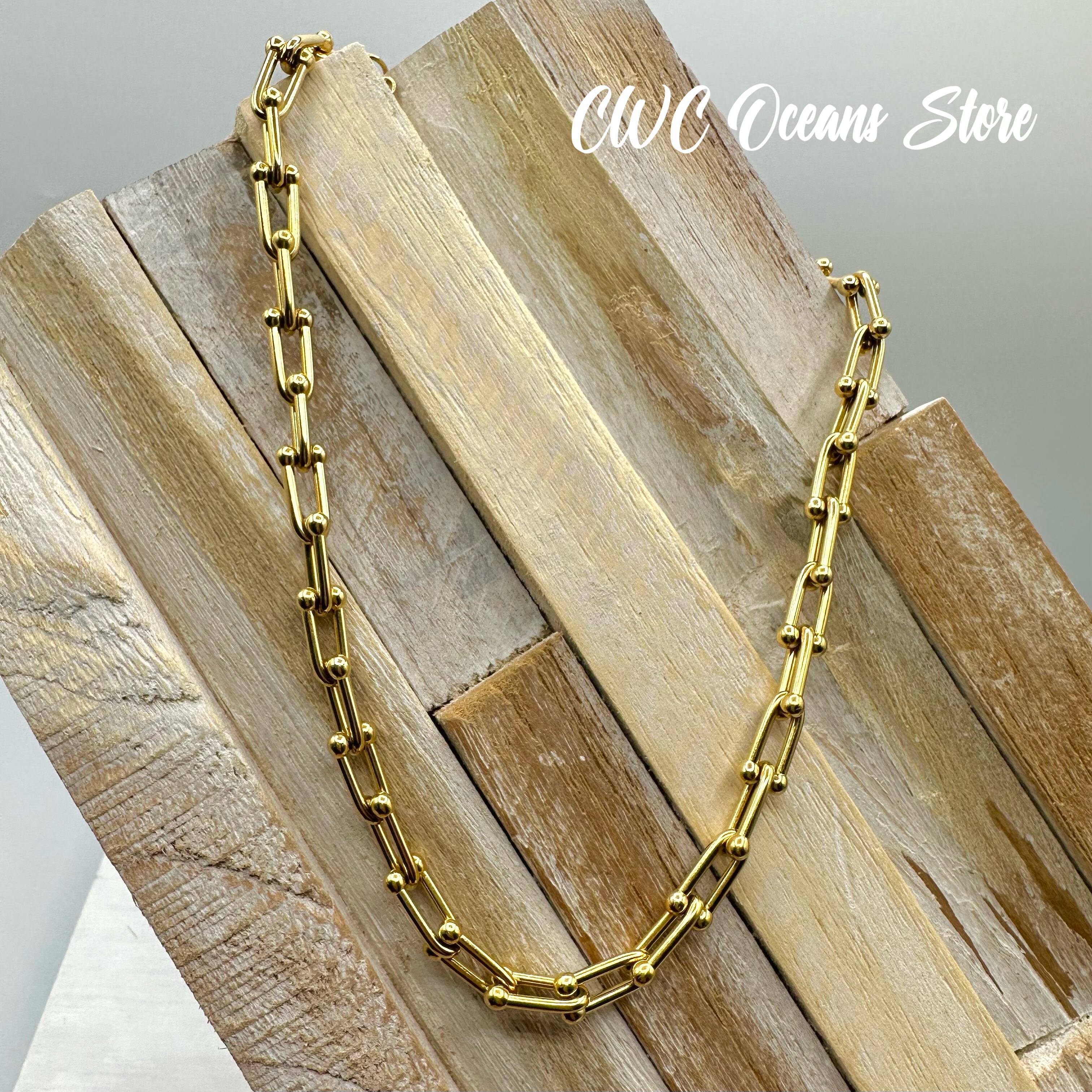 Horseshoe chain necklace | CWC Oceans Store