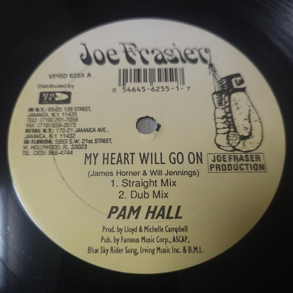 Pam Hall - My Heart Will Go On / タイタニック Celine Dion カバー！！ // Joe ...