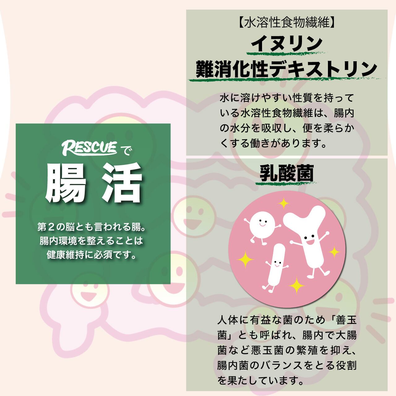 モリンガ青汁『RESCUE』(3.5g×30本：105g：1ヶ月分目安） | HonZen Nouen