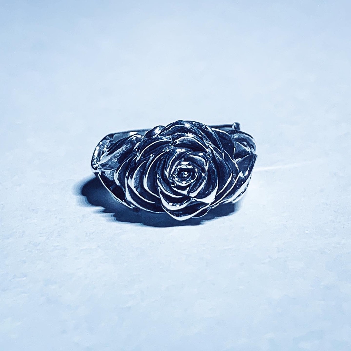 Dearest Rose II | revellia