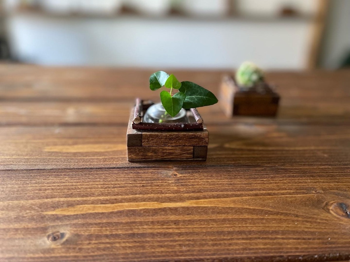 woodcube (枝)ボールガラスセット | wood cube