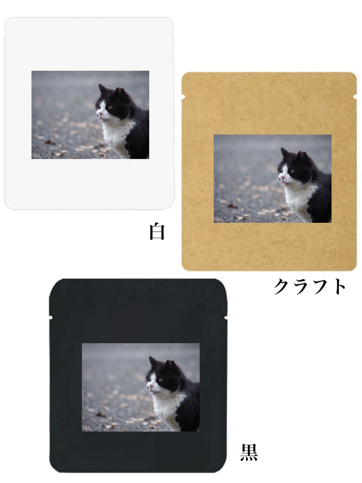 Darmin E03-5個 | moripen