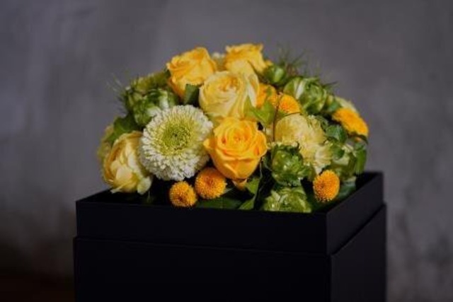 Matilda Flower CONTENA【kuro × yellow】M | Matilda