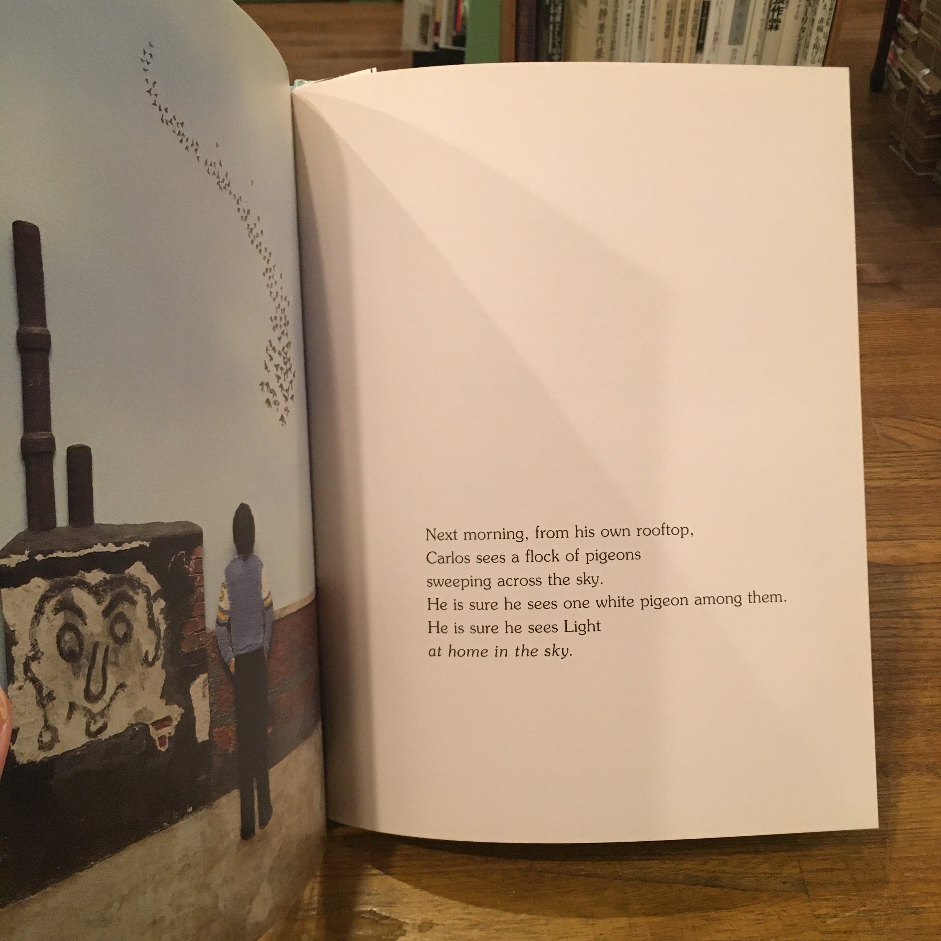 HOME IN THE SKY / ジーニー・ベイカー（Jeannie Baker） | 百年