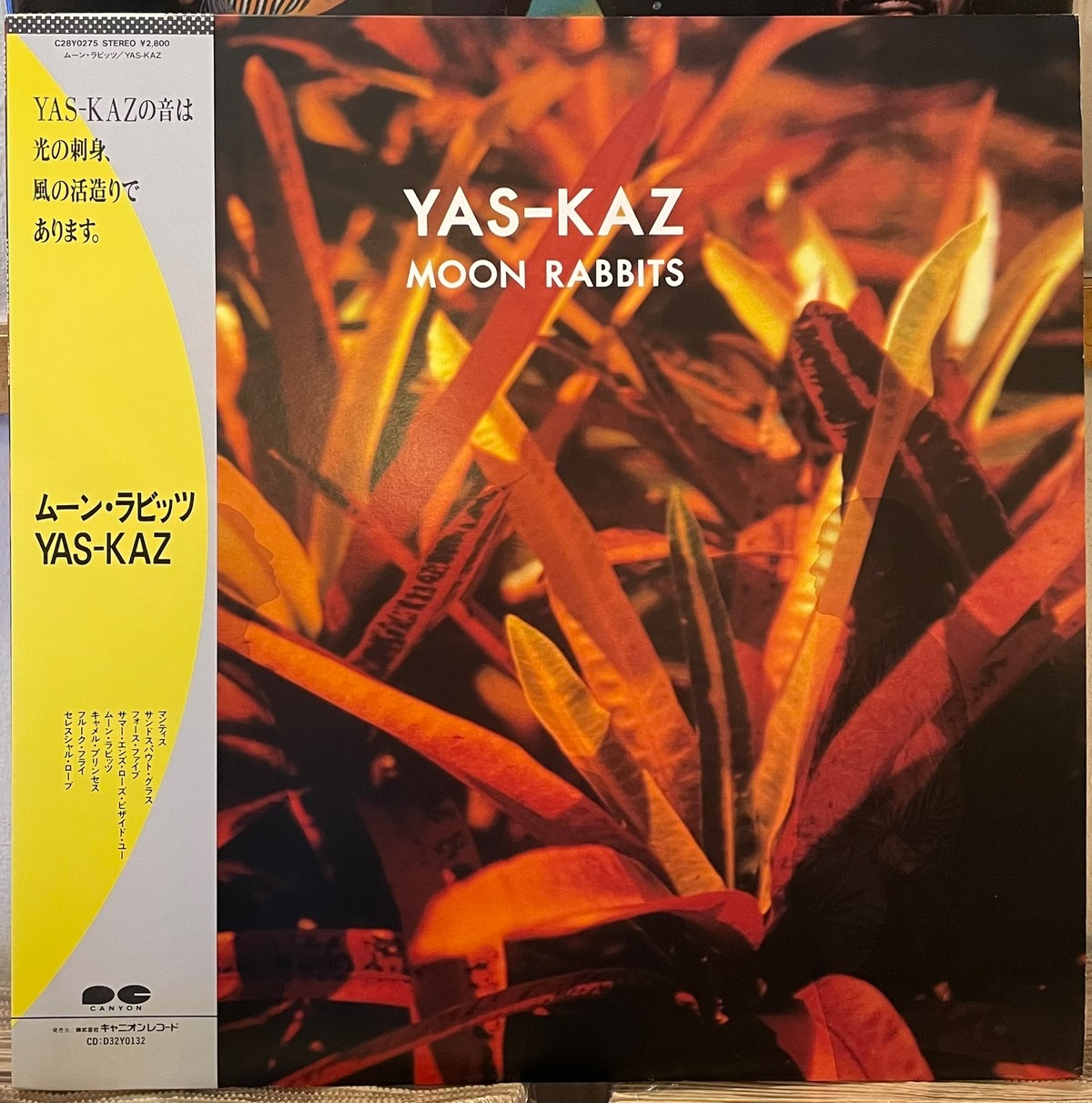 Yas-Kaz "Moon Rabbits" LP | EAD RECORD