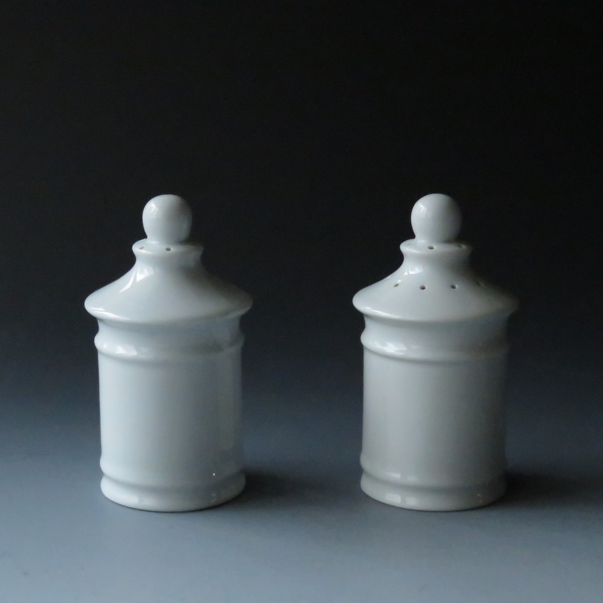 ソルト＆ペッパー dpy8111-L | kogando palm art