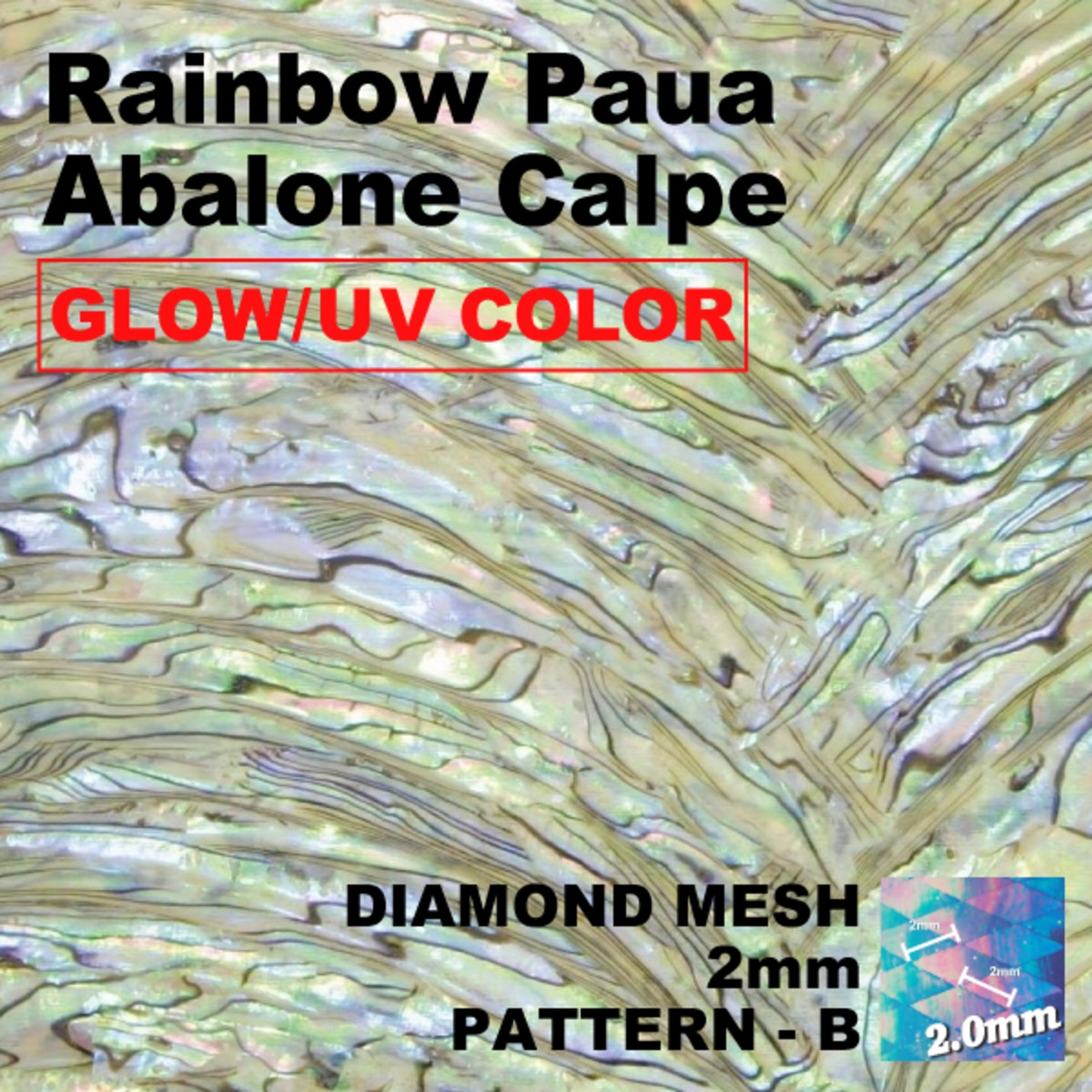 【グロー/UVカラー】ニュージーランド・カルペ / 菱形2mm割り/B向き【XL Size】 [Rainbow Paua Abalone ...
