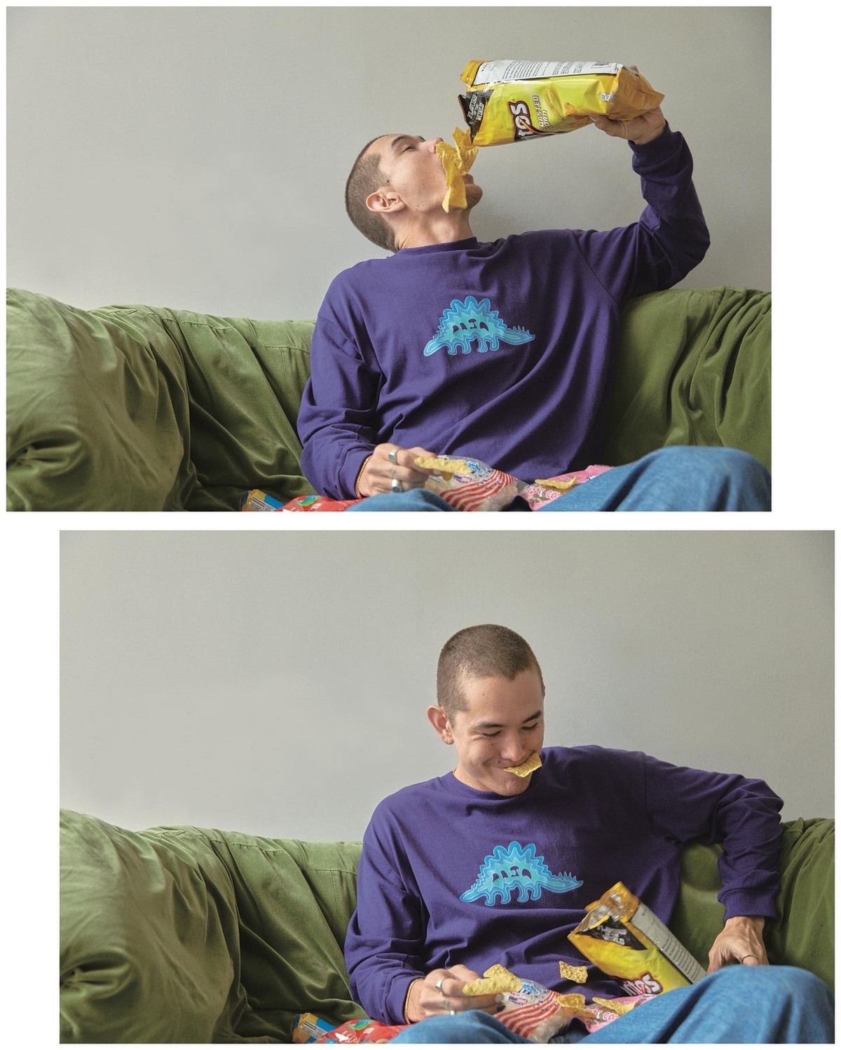 PajaStudio/Stegosaurus/LS/tee | DOMITUNE