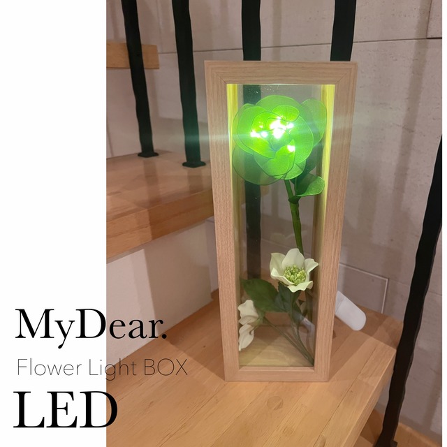 LEDフラワーライトボックス コンセントタイプ | MyDear.