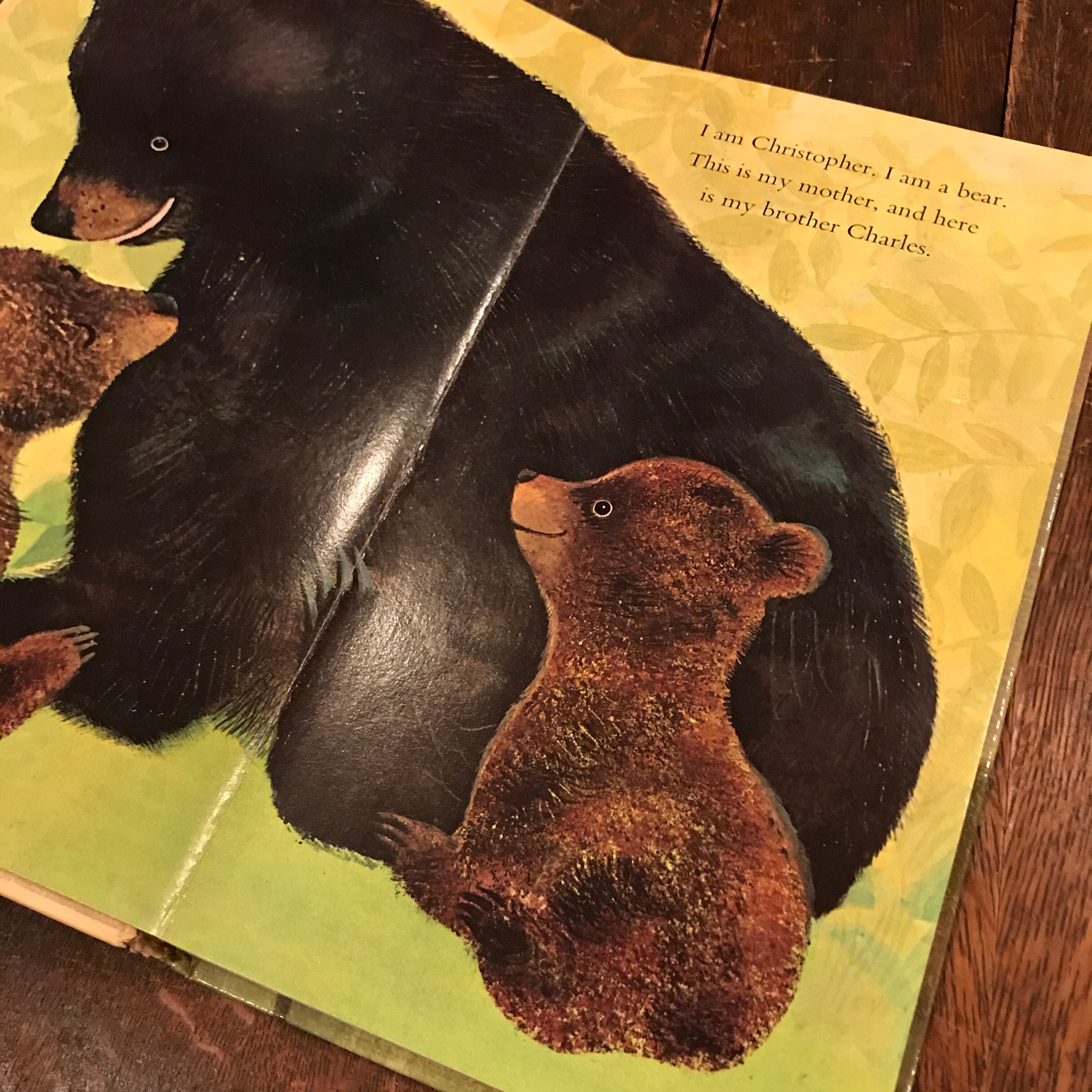 I am a Bear / Ole Risom, John P. Miller | 百年