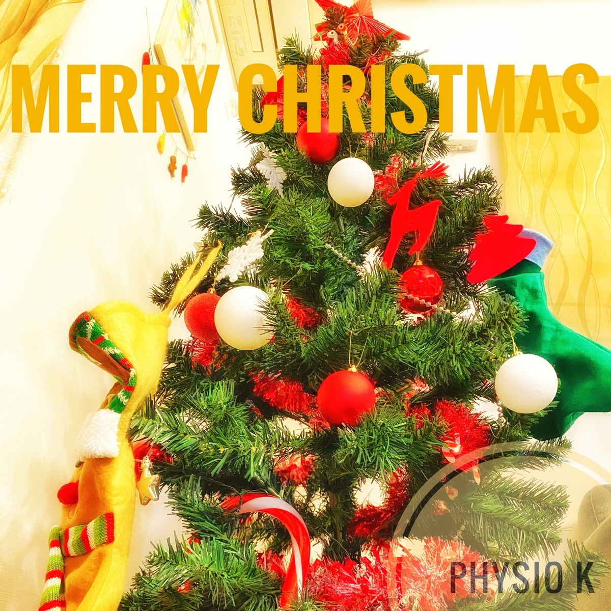 MERRY CHRISTMAS | PhysioK