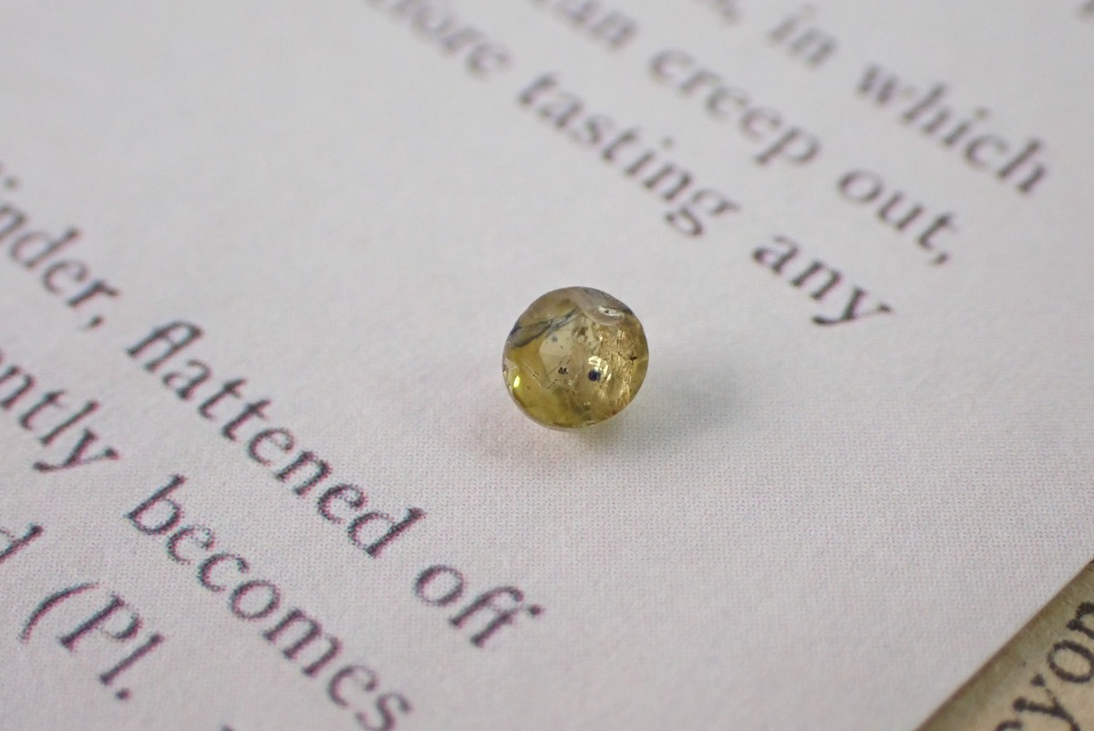 イエローサファイア 0.27ct [C12-258] | differencee(ディファレンシー)