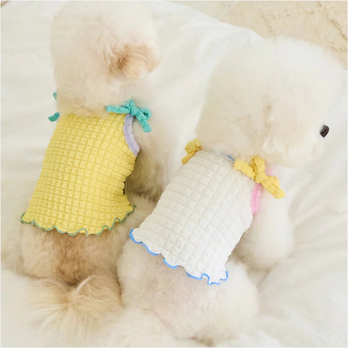 【予約】《BENNYS》POPPING CROP TOP | dog wear Lulu