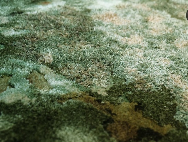 隈研吾CARPET COLLECTION KOKE／コケ（SIZE S） 山形緞通／オリエンタルカーペット㈱ | cacico-北欧食器と絨毯の店-