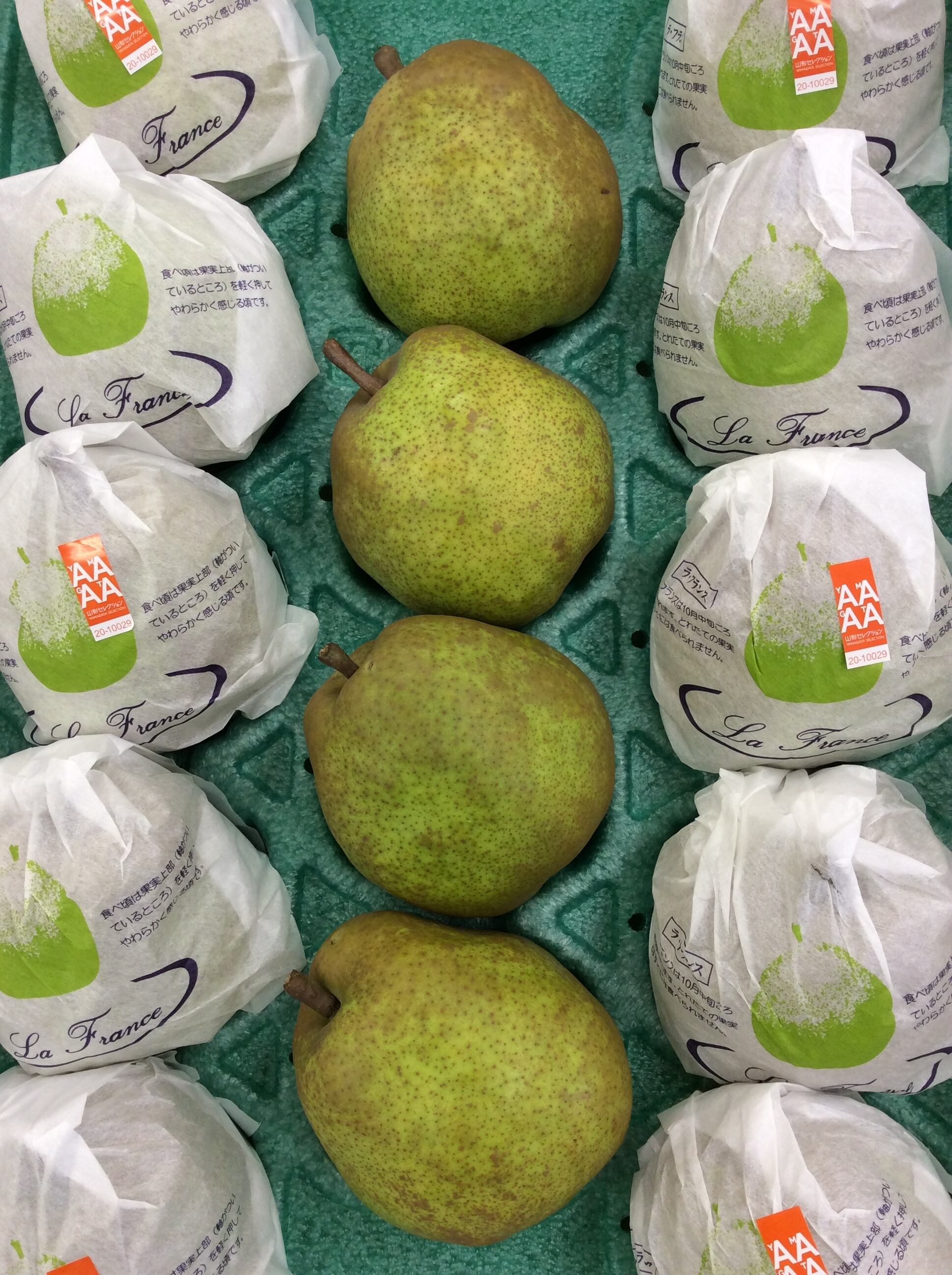 ラ･フランス 山形セレクション（天童産・滝口農園） 5kg･4L･14玉 | グリーンショップはらだ ONLINE SHOP