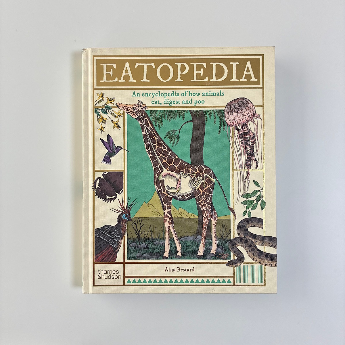 Eatopedia : An encyclopedia of how animals eat, digest and poo | 素敵な洋書の ...