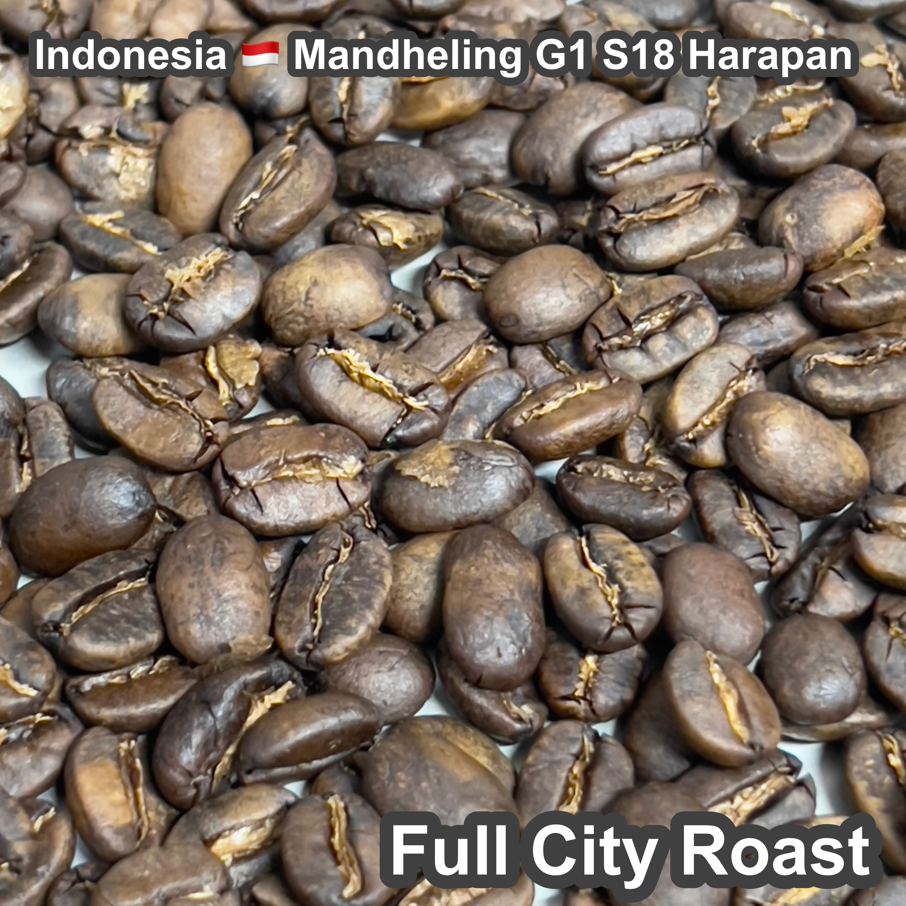 Indonesia Mandheling G1 S18 Harapan（インドネシア マンデリンG1 ハラパン S18）100g 【受注焙煎・自家焙煎コーヒー豆】【酸味を抑えた力強いコク ...