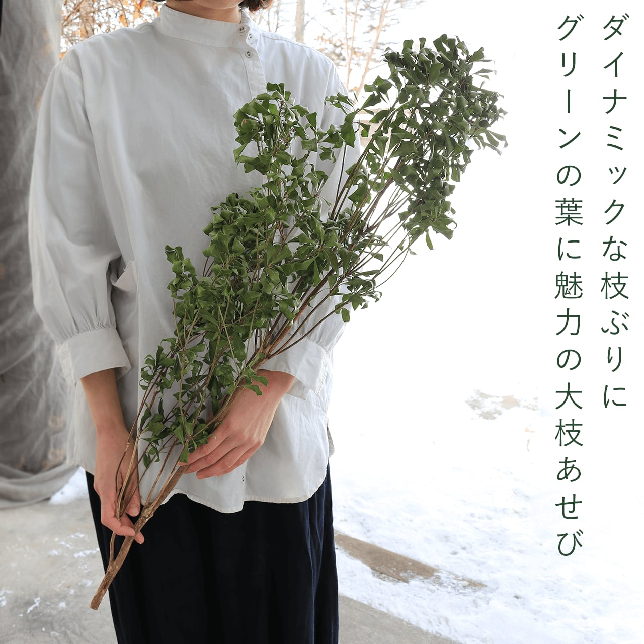 大枝 長さ60〜90cm】 ドライフラワー あせび ◇ 馬酔木 あせぼ 大枝 長さ60〜90cm】 ドライフラワー あせび ◇ 馬酔木 あせぼ