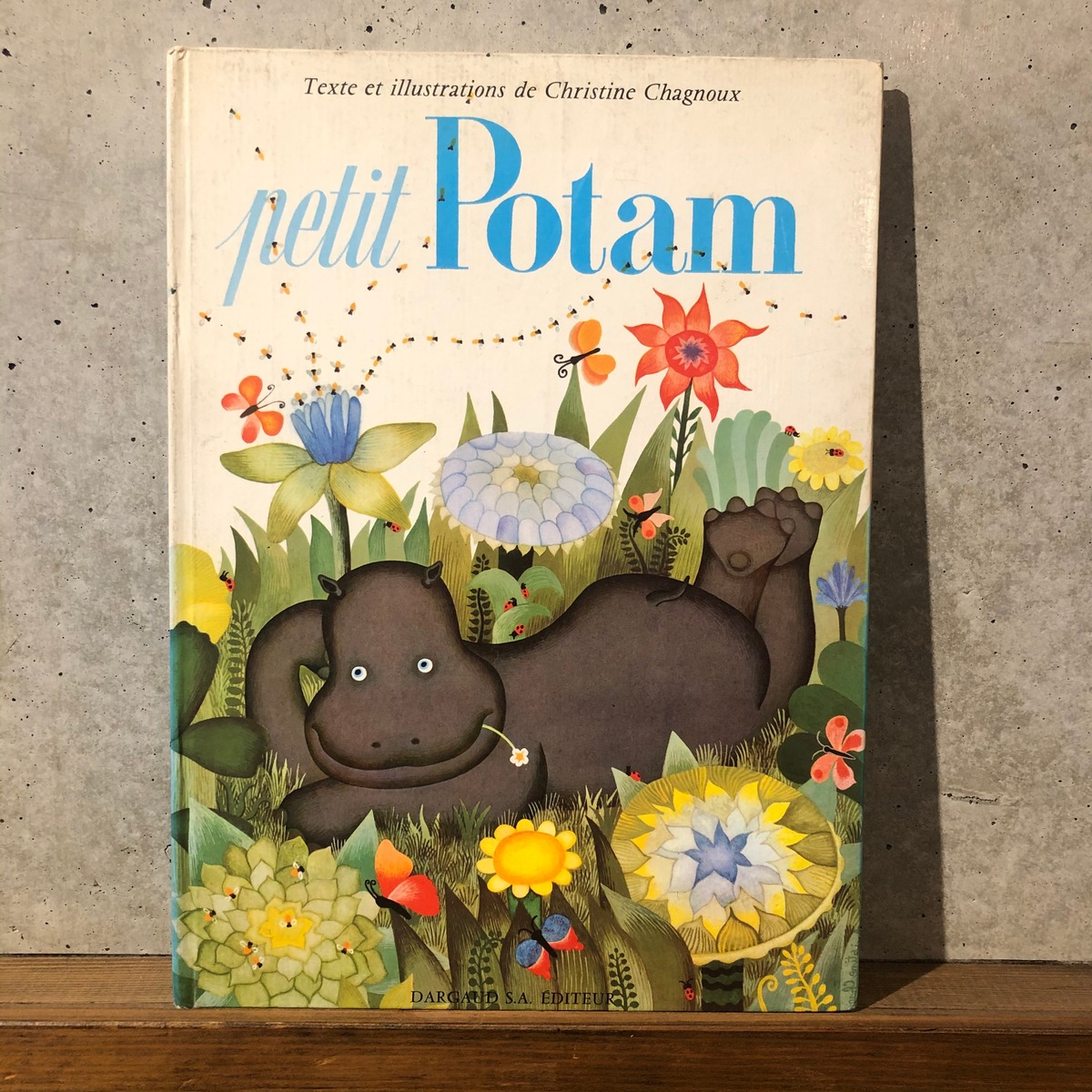 PETIT POTAM | maintent