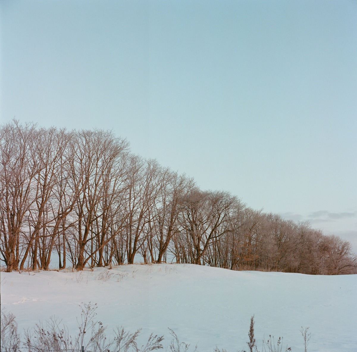 BEGIN（PHOTO ONLY） | shoji | photographer